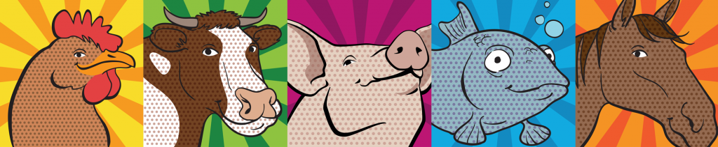 Animine | Precision minerals